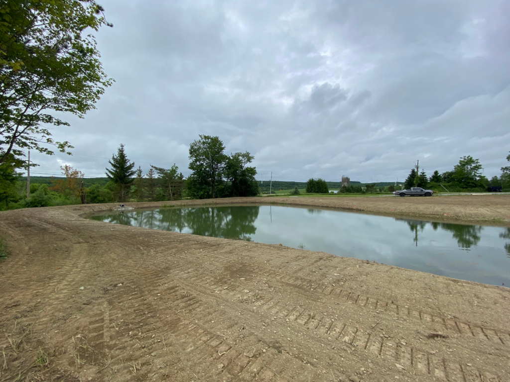 Thank You - Want A Pond